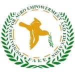 What we do – Interweave Solutions